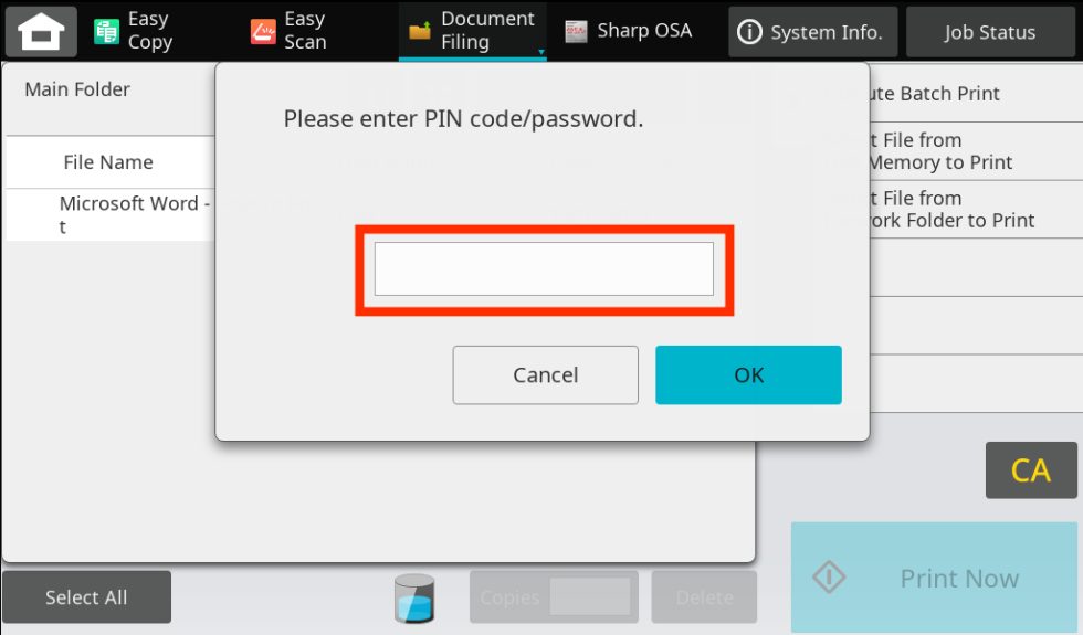 How To: Print Confidential Password/PIN Protected Documents